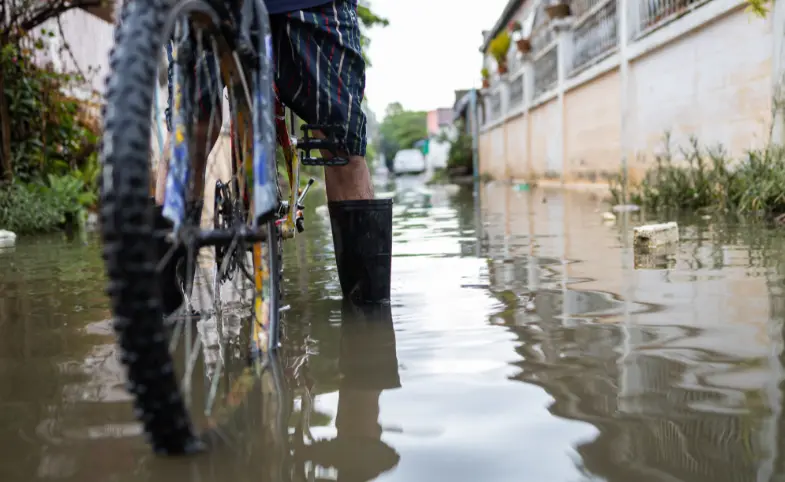 Apa Itu Leptospirosis? Cari Tahu Penyebab, Gejala, dan Pencegahannya